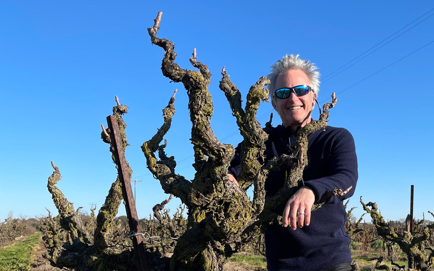 About Chef Mark Tarbell: A Journey of Passion for Wine and Culinary ...